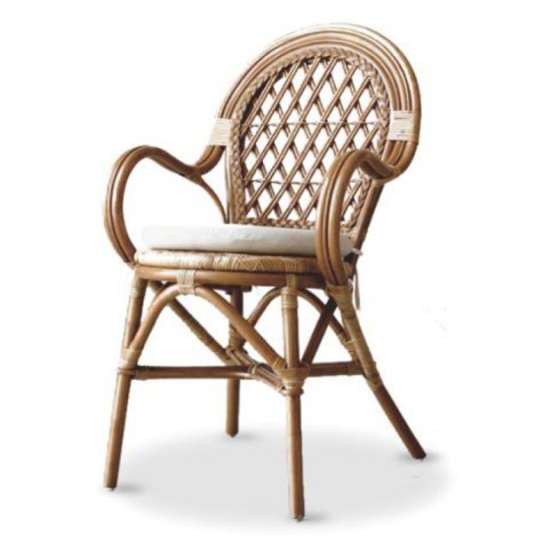 BALI DINING ARM CHAIR | StyleNations